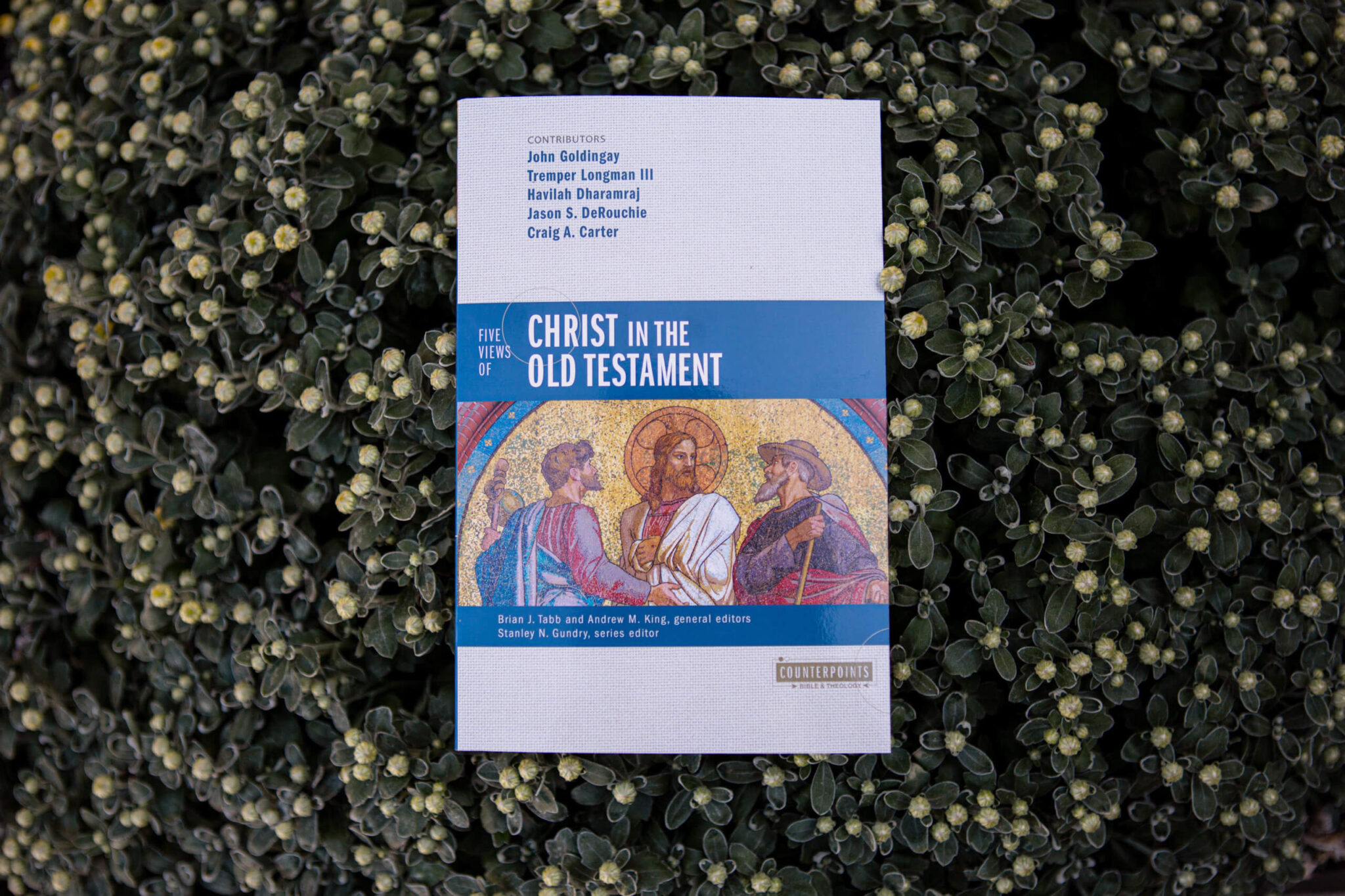Five Views of Christ in the Old Testament Released by Zondervan ...