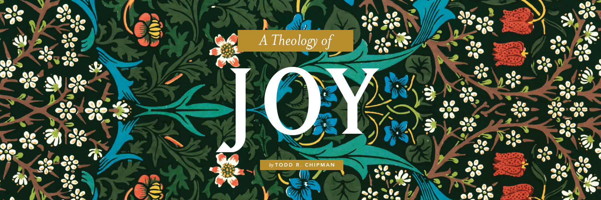 A Theology of Joy: Joy in the Christian Life & Ministry
